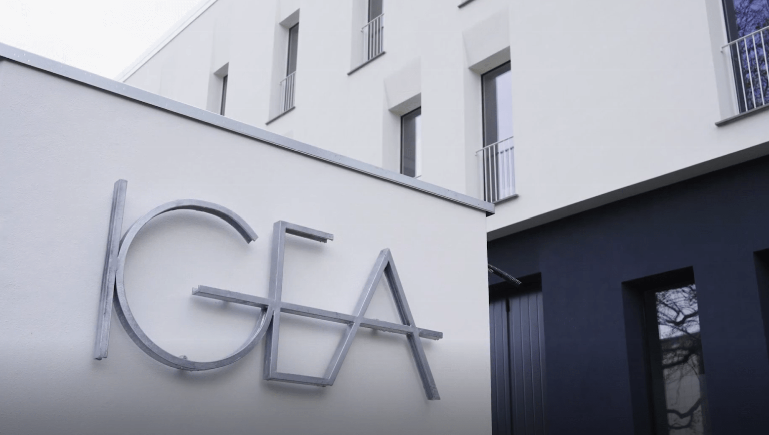 Company | IGEA Medical